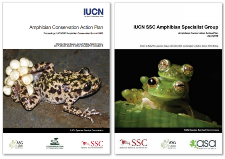 Amphibian Conservation Action Plan – IUCN SSC Amphibian Specialist Group