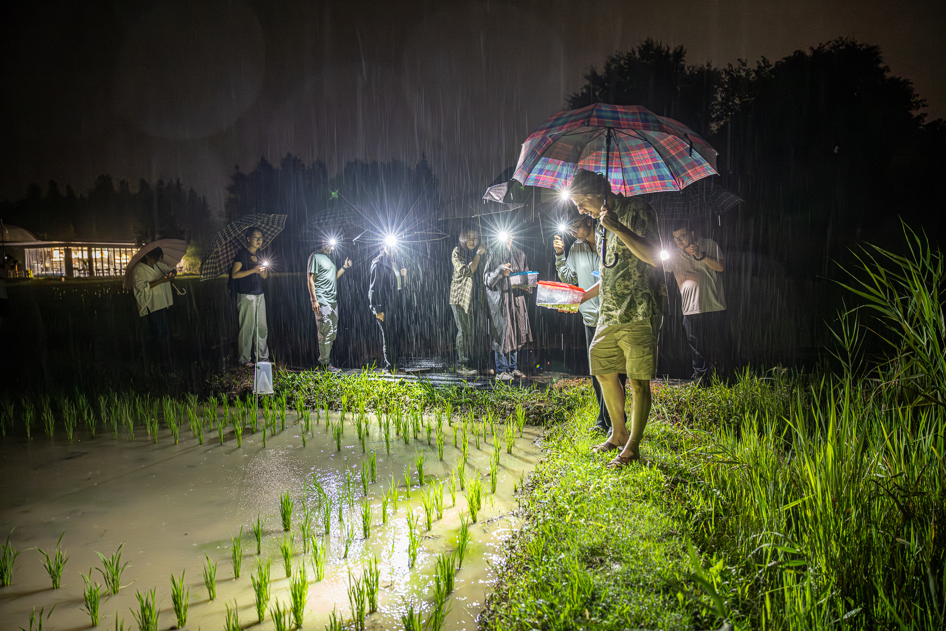 Secretariat – IUCN SSC Amphibian Specialist Group